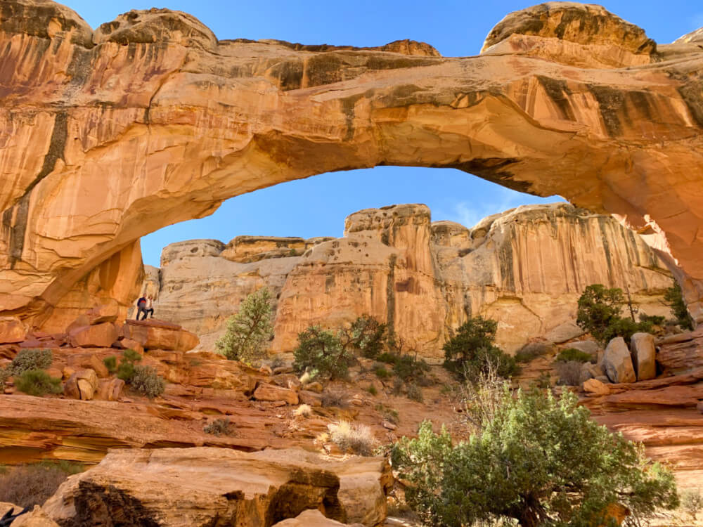 Capitol Reef National Park, Utah: Trip It or Skip It? - Scenic and Savvy